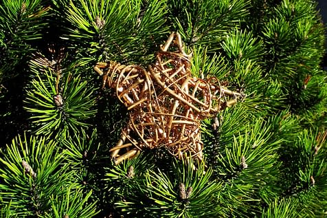 Celebrate Yule and the Winter Solstice - Harvest Moon Enchantments