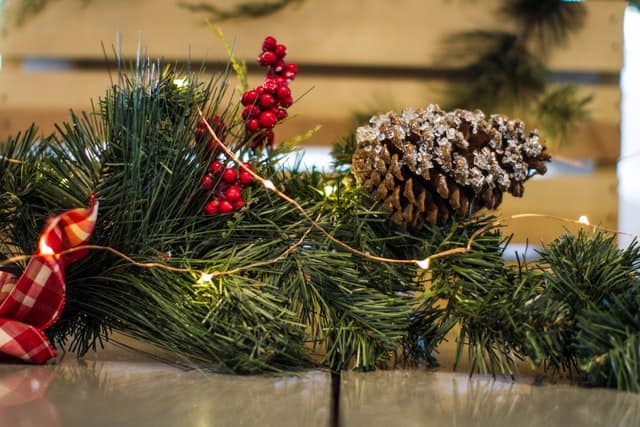 Celebrate Yule and the Winter Solstice - Harvest Moon Enchantments